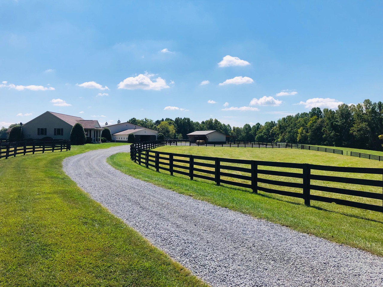 Center for Equine Awareness Current - Center for Equine Awareness